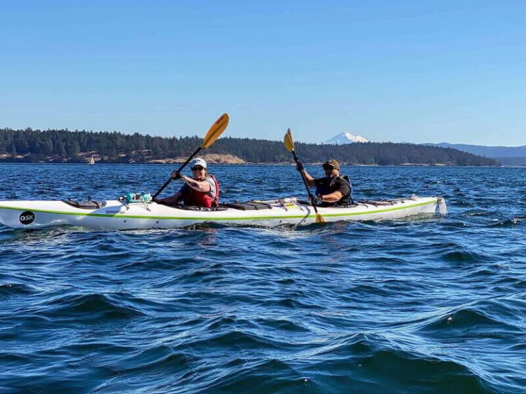 San Juan Island: Full Day Kayaking Tour with Lunch - An In-Depth Look at the Kayaking Adventure