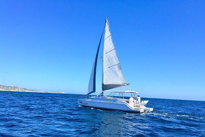 Snorkel Adventure through the Sea of Cortez - Who This Tour Is Best For