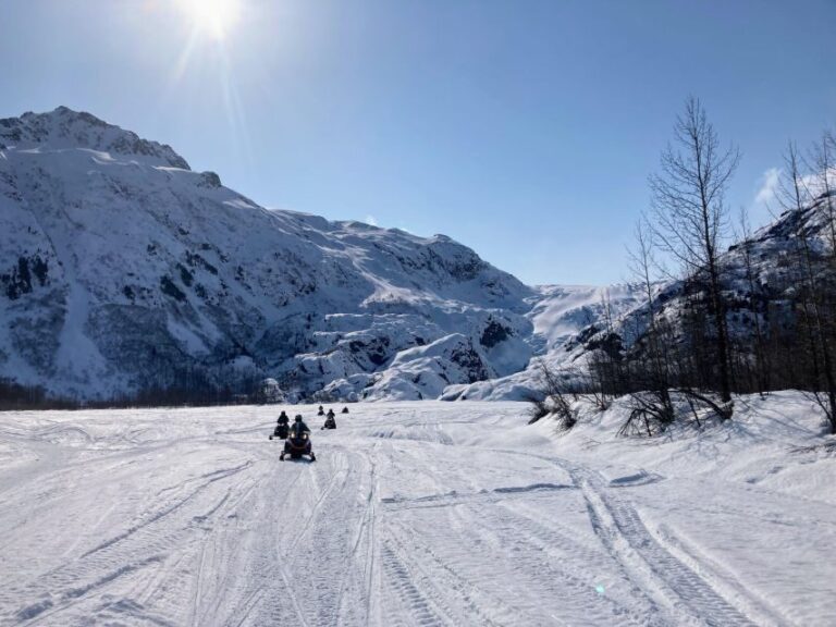 Snowmobile Classic Tour in Kenai Fjords National Park - The Highlights and Scenic Value