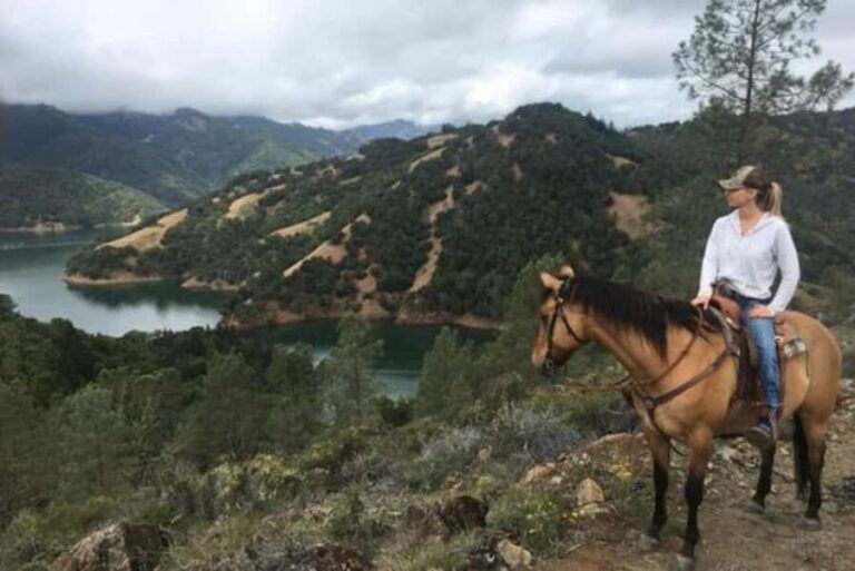 Sonoma: Horseback Riding Tour to Skaggs Vista Mountain - What Makes This Tour Special