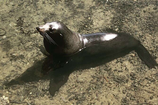 South Coast Nature Tour - Frequently Asked Questions