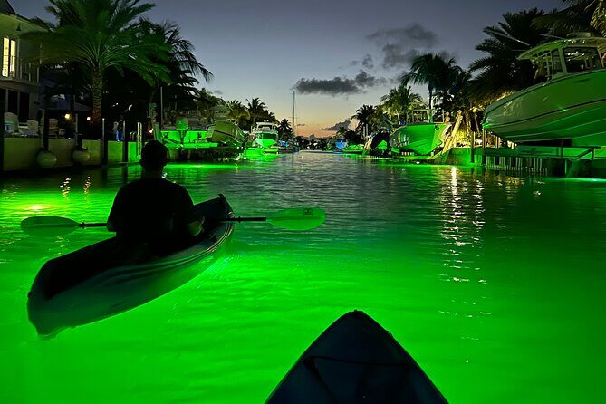Sunset Kayak Adventure with Enchanting Underwater Lights - Who Will Love This Tour?