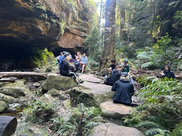 Sydney: Blue Mountains Guided Hike with Lunch & Pickup - Exploring the Details: What This Tour Offers