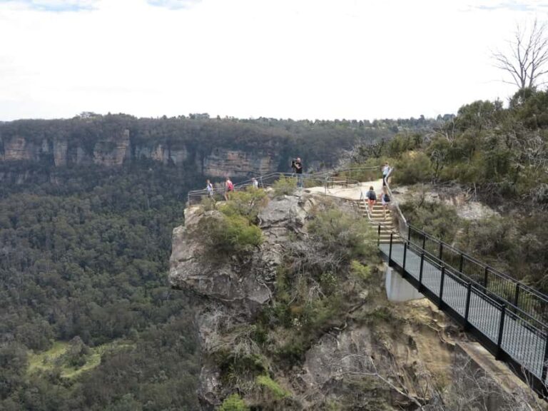 Sydney: Blue Mountains Wildlife & Bushwalk Small-Group Tour - The Practical Aspect: Transport, Timing, and Group Size