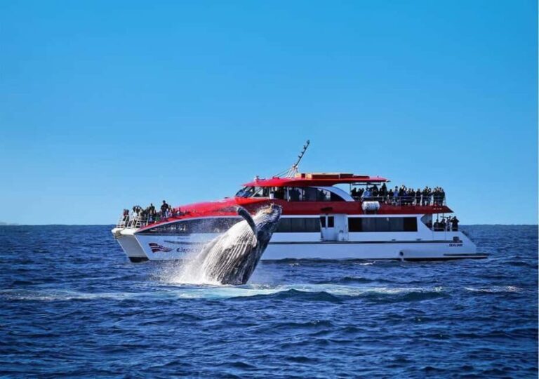 Sydney: Whale Watching Cruise and Taronga Zoo Package - Key Points