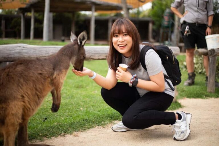 Sydney: Zoo, Blue Mountains and Scenic World Mandarin Tour - FAQs