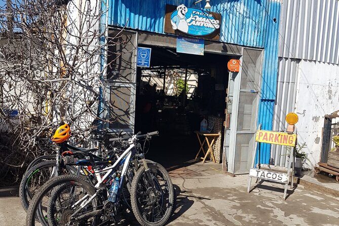 Taco Ride: Discover the World's Best Fish Tacos by Bike - The Bottom Line: Who Should Consider This Tour?