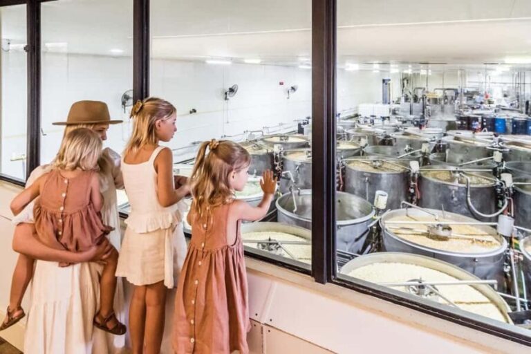 The Sunshine Coast: The Ginger Factory Tour & Tasting - What Do Visitors Say? Authentic Insights