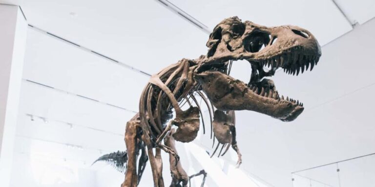 Toronto: Royal Ontario Museum Scavenger Hunt - The Itinerary: What You Can Expect