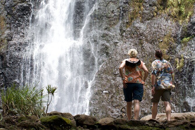 Tour Tahiti in Private - Practical Tips for Travelers