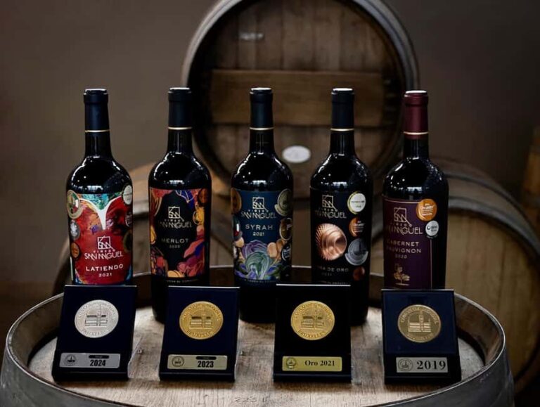 Tour & Wine Tasting San Miguel Vineyard / San Miguel Experience - The Itinerary Breakdown