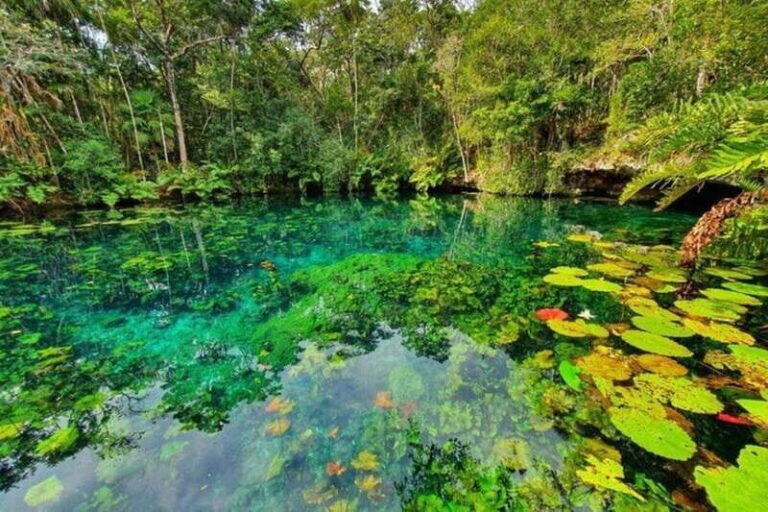 Tulum: Half-Day Adventure Zip line Cenote in Mayan Community - What the Reviews Say