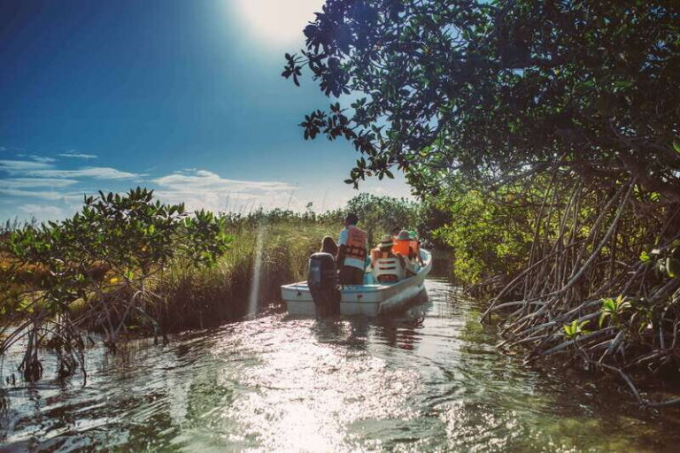 Tulum: Mayan Ruins & Sian Kaan Tour with Boat Ride and Lunch - What to Expect: The Day’s Breakdown