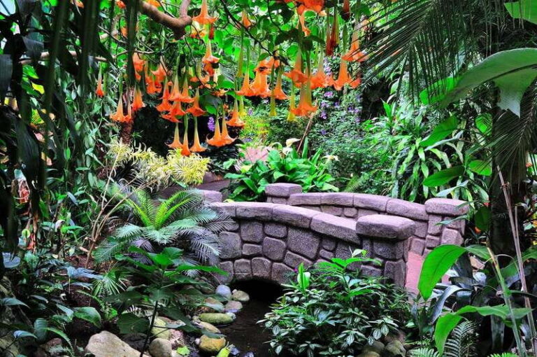 Victoria: Butterfly Gardens Admission Ticket - The Practical Side: Cost, Timing, and Accessibility