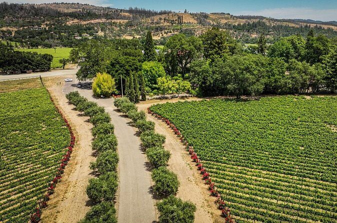 Vine Trail Discovery E-Bike Tour - Who Would Love This Tour?