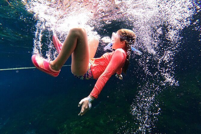 VIP Cenotes Private Tour (half-day) - Comparing the Cost and Value
