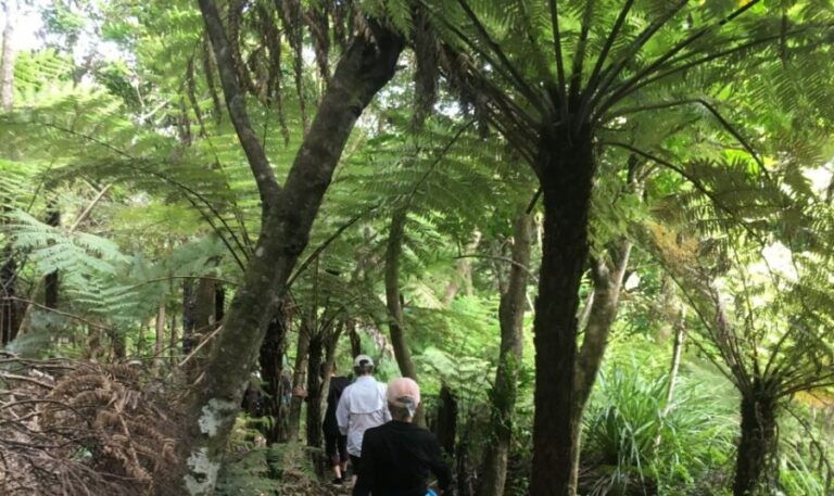 Waiheke Island: 5-Day Self-Guided Te Ara Hura Walk - A Closer Look at the Price and Value