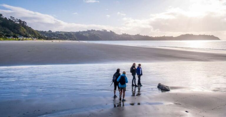Waiheke Island: Forest and Beach Premium Guided Walk - Beach Break and Leisure Time