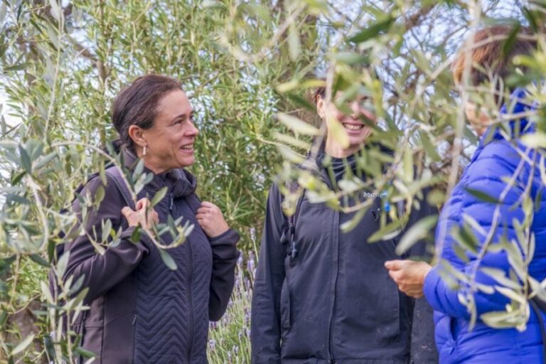 Waiheke Island: Premium Vineyard, Wine Tasting and Bush Walk - Exploring Waiheke Island: Nature, Wineries, and Scenic Vistas