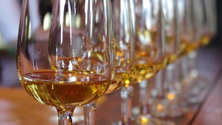 Waiheke Island: Scenic PREMIUM Wine Tour. Max 11 clients - Evaluating the value
