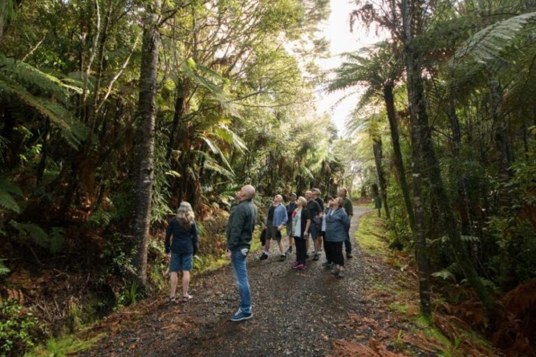 Waitakere Ranges Wilderness Experience Tour from Auckland - The West Coast and Piha Beach