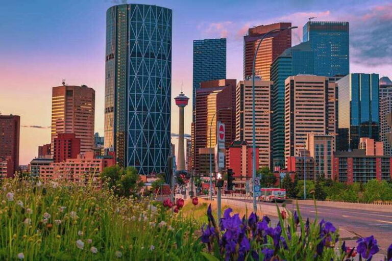 Walk the Best of Calgary  Private Tour - Authentic Experiences and Real Insights