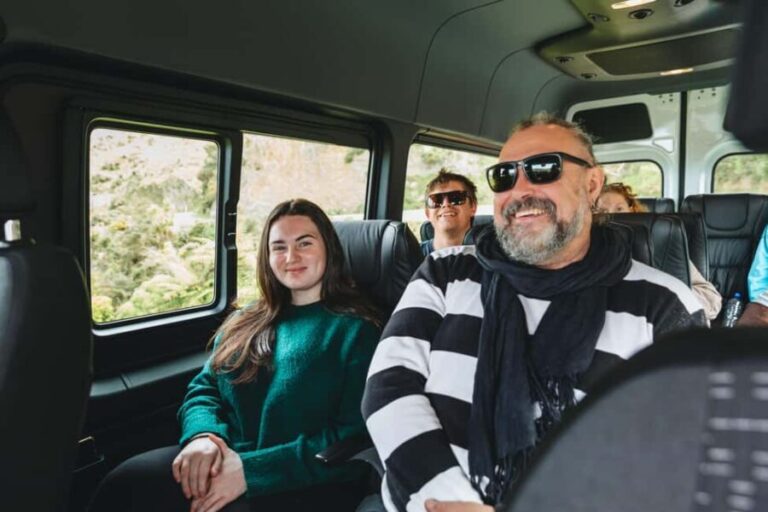 Wellington: Half Day Seal Coast Safari - The Practicalities