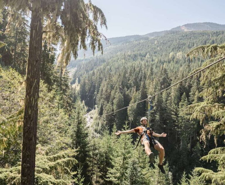 Whistler Zipline Experience: Ziptrek Bear Tour - Price, Value, and Who Should Consider It