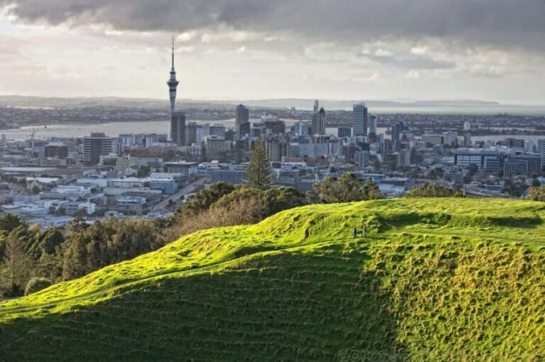 Wonders of Wellington: A Day of Icons, Views & Culture - Who Should Consider This Tour?
