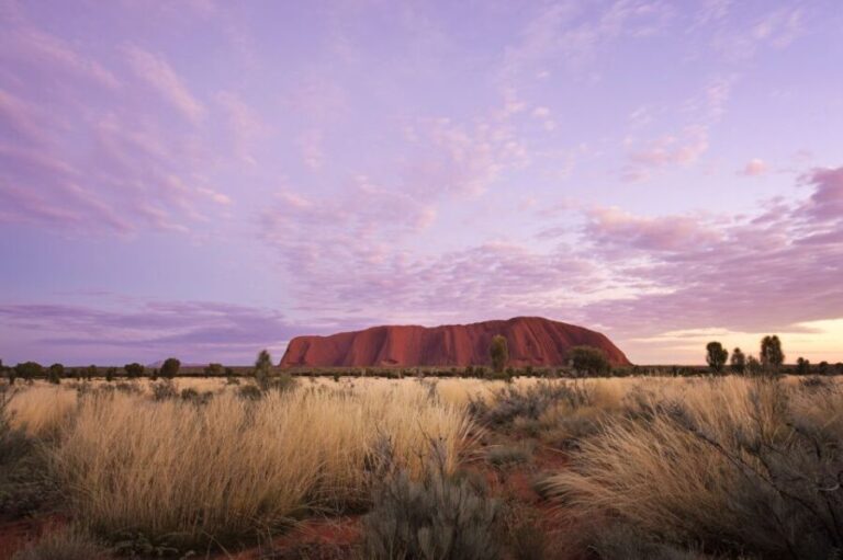 Yulara: Uluru Sunrise and Kata Tjuta Day Trip by Bus - Who Is This Tour Best For?