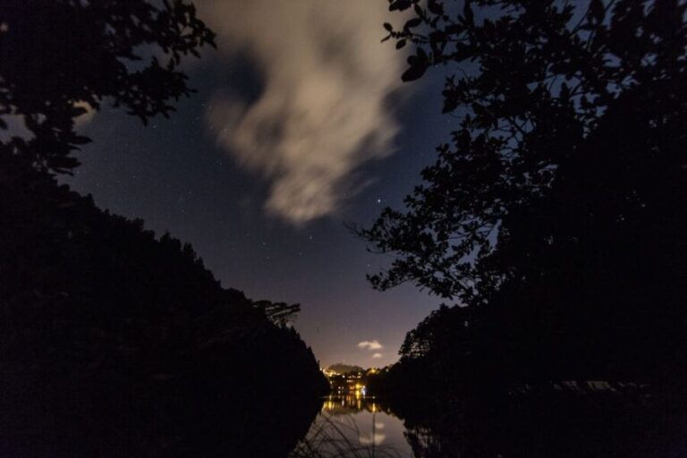 Zealandia by Night Tour - The Experience: What Travelers Say